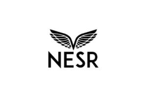 Lowongan kerja NESR Field Professional Program 2026 di PT NPS Energy ...